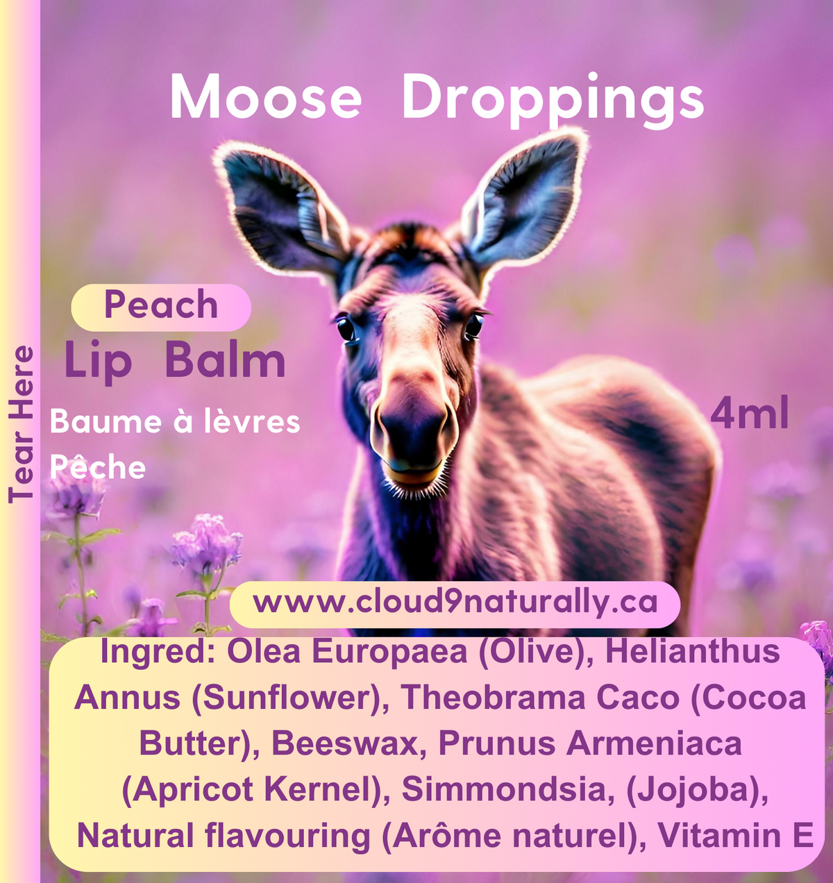 1 Just for Kids: SPRING FRUIT FARTS - Cloud 9 Naturally